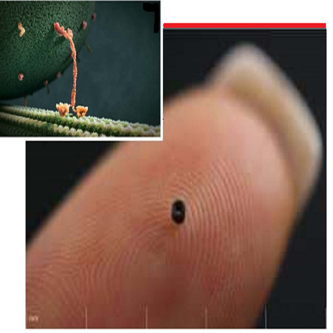 Lean Belly Breakthrough - 2 Minute Fat Shrinking Method